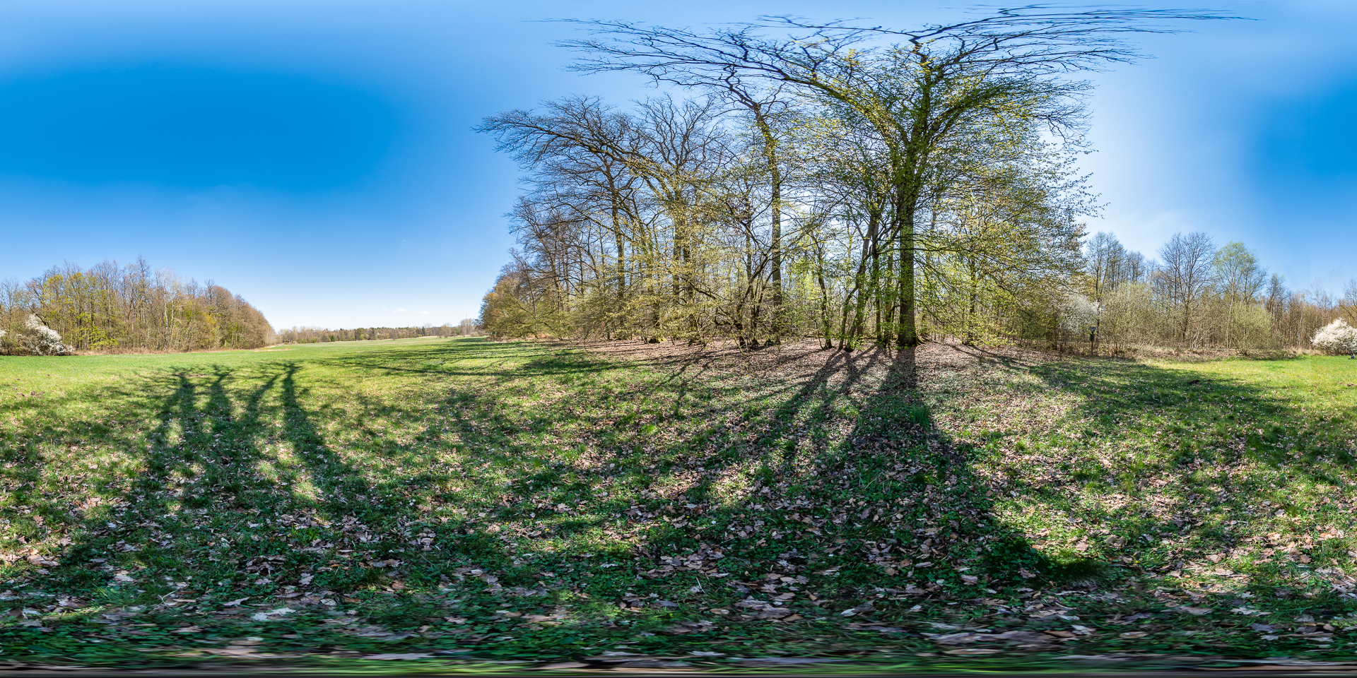 Naturschutzgebiet Scheftheimer Wiesen bei Darmstadt